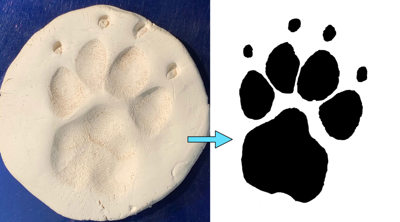 Digital Paw Prints | Western Skies End-Of-Life Vet Care